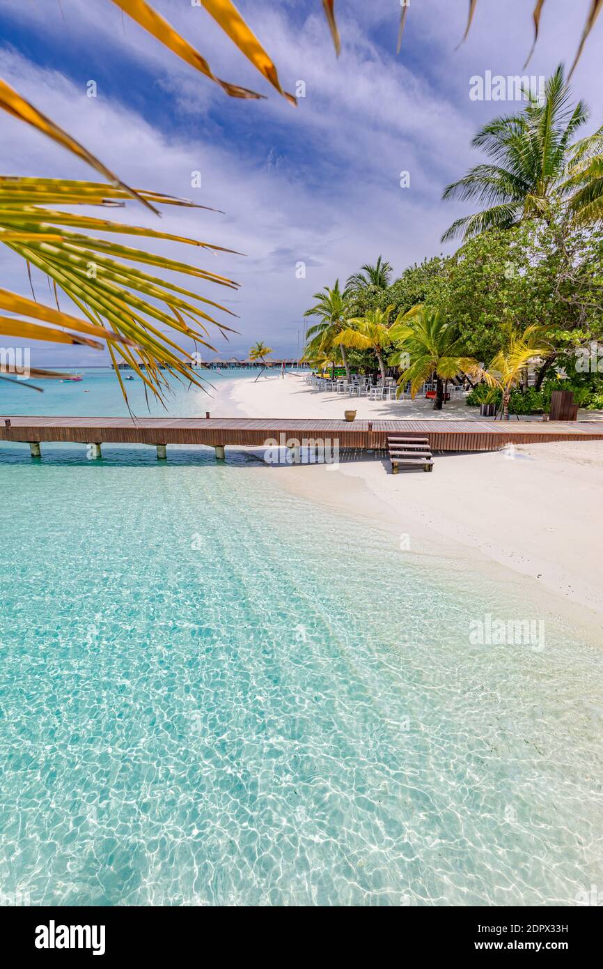 Wooden pier bridge at tropical beach in the Maldives. Palm tree leaves ...