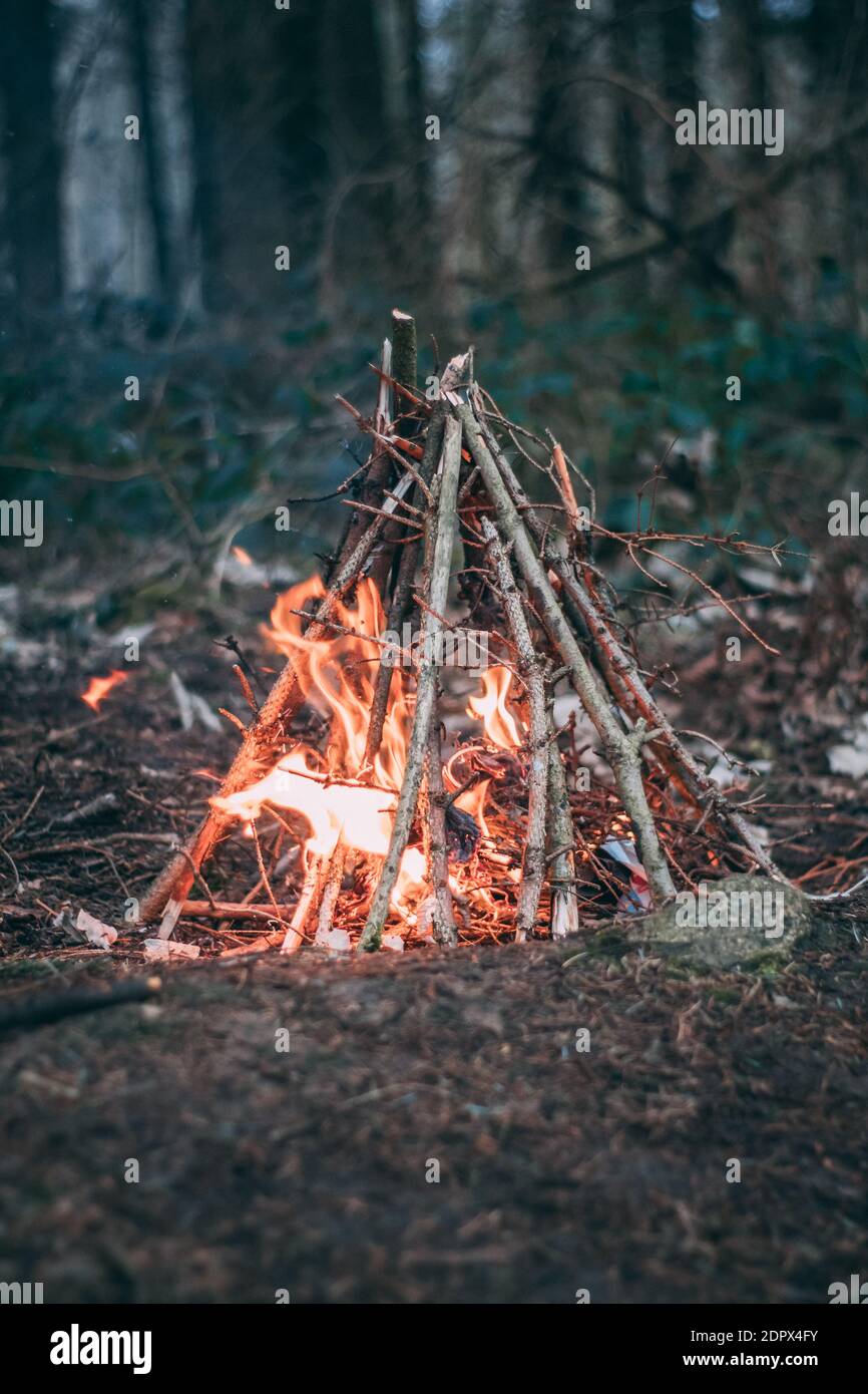 Campfire In Forest Stock Photo - Alamy