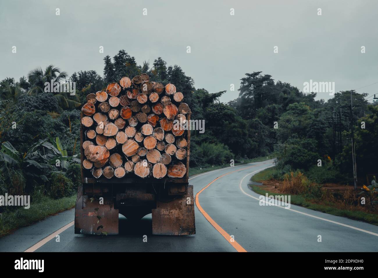 Truck carrying tree logs wood hi-res stock photography and images - Alamy