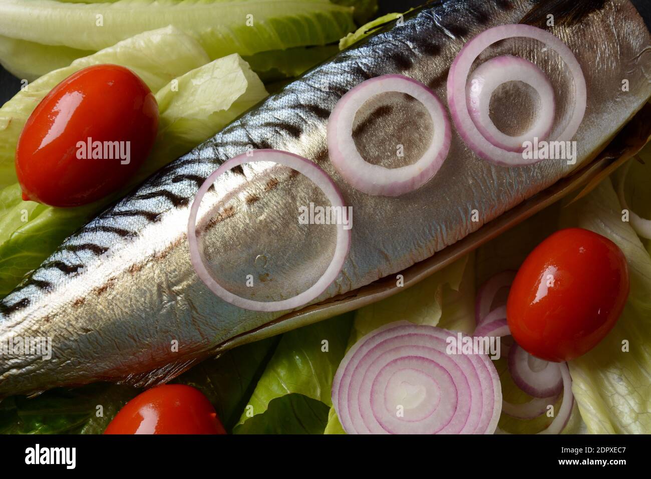 Atlantic Mackerel Recipe