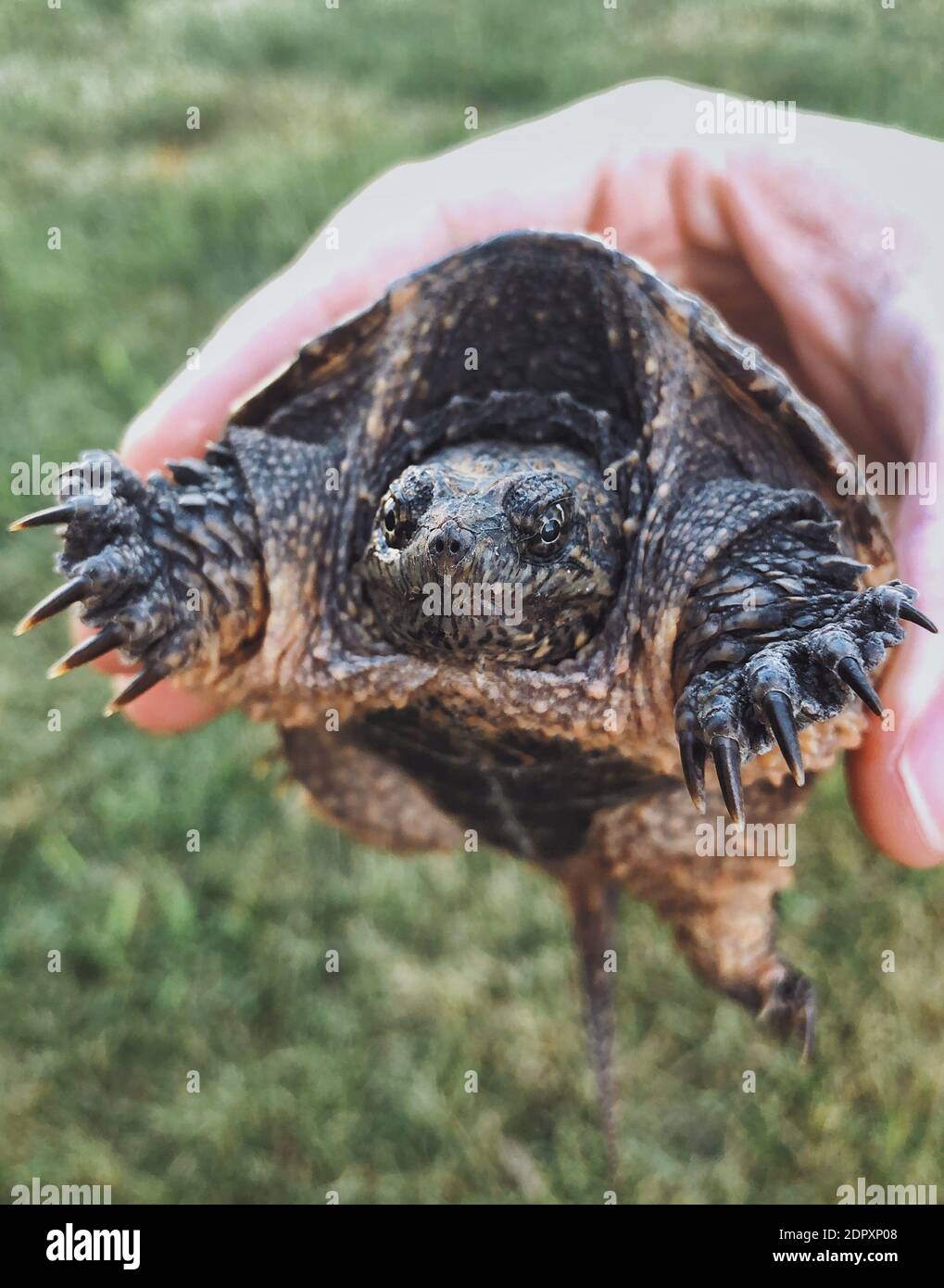 Snapping finger hi-res stock photography and images - Alamy