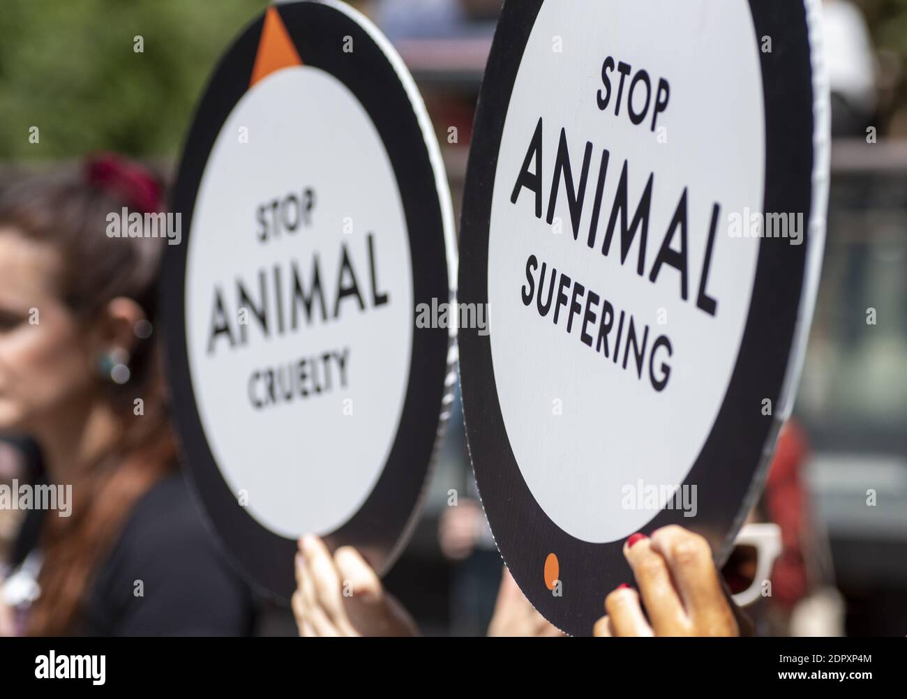 Suffering animals hi-res stock photography and images - Alamy