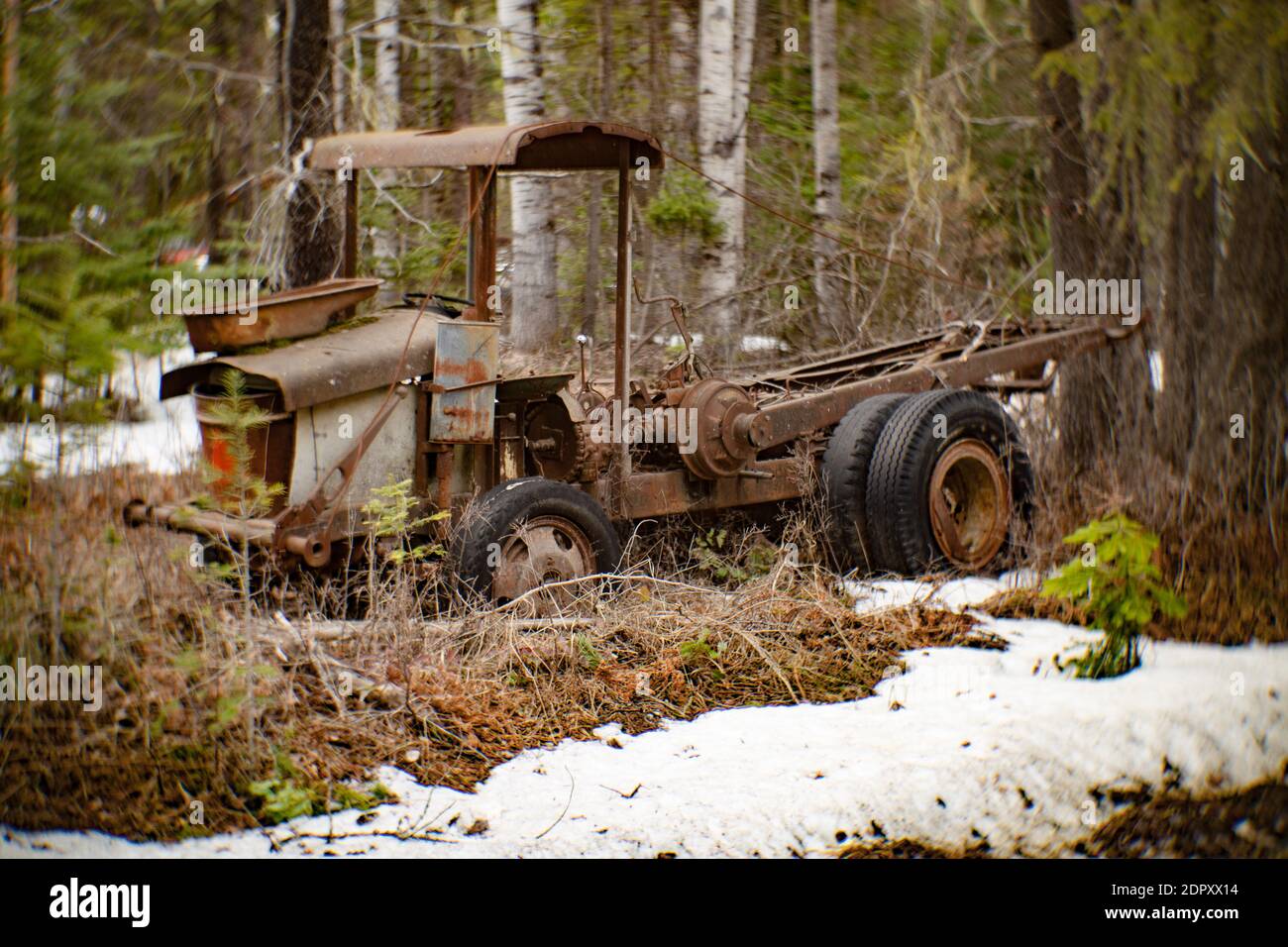 A old, rusty Idaho Logging Jammer winch truck, in wooded area, west of ...