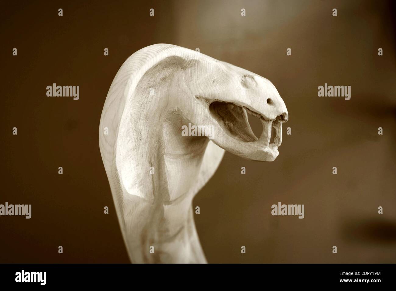 Snake Bone Skeleton High Resolution Stock Photography and Images - Alamy