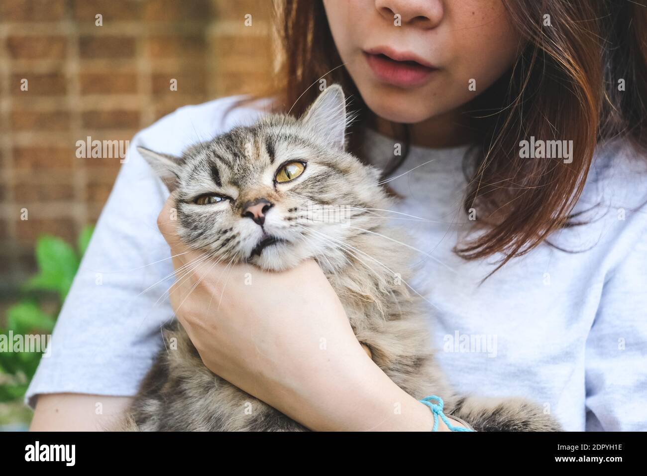 Indian girl with pet cat hi-res stock photography and images - Alamy