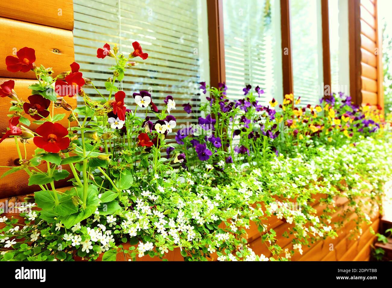 meaning behind every single flower , it's just beautiful they are and ...