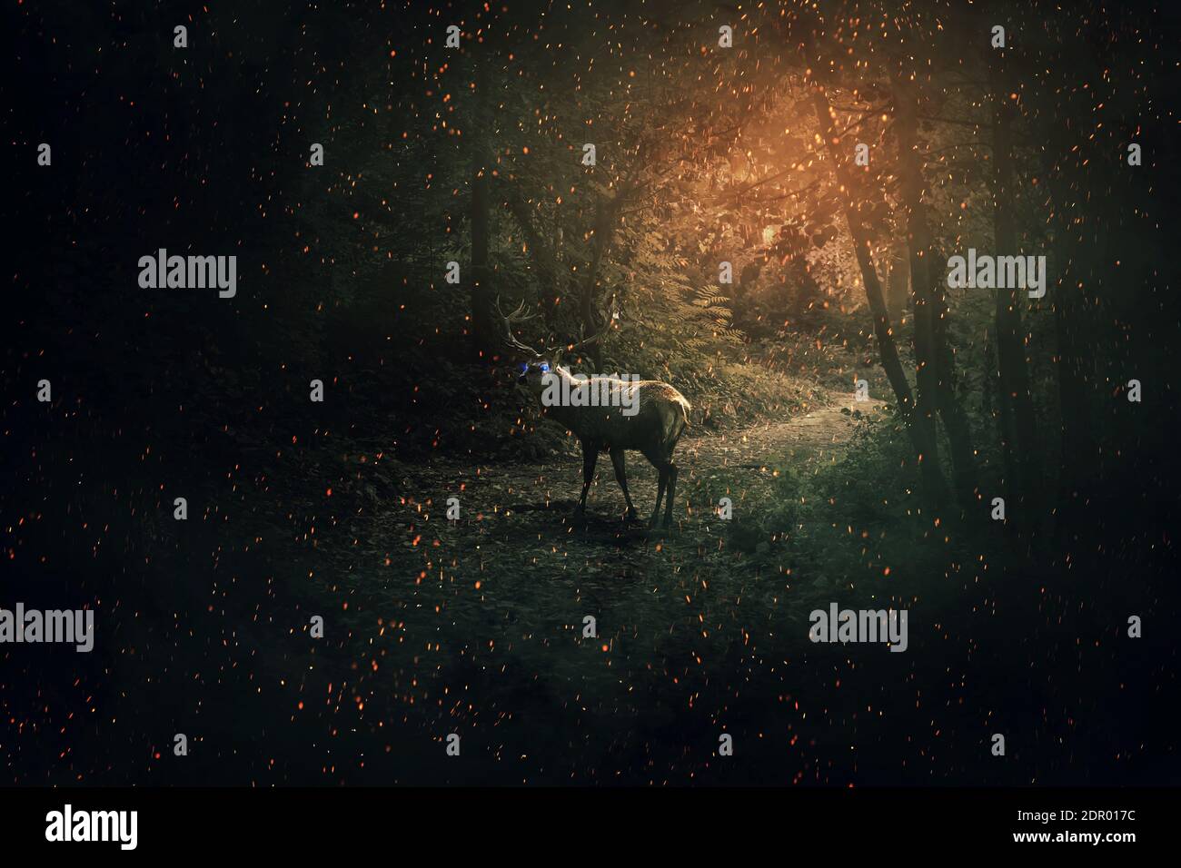 Standing deer night hi-res stock photography and images - Alamy