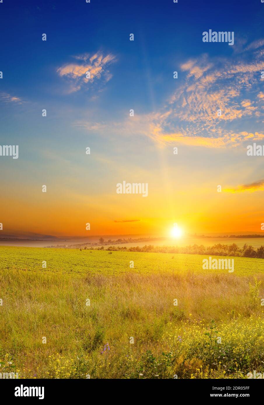 Wide landscape of green field and epic sunset Stock Photo - Alamy