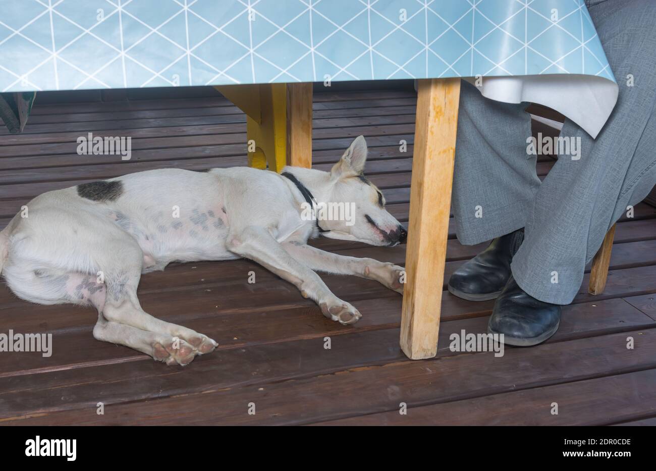 Old masters dinner hi-res stock photography and images - Alamy