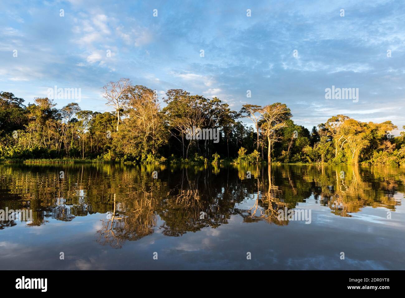 Tropischer Regenwald High Resolution Stock Photography and Images - Alamy