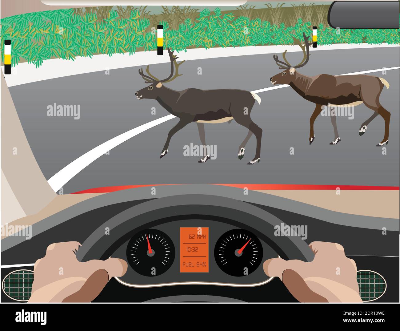 Vector Illustration of Reindeer crossing road Stock Vector Image & Art ...