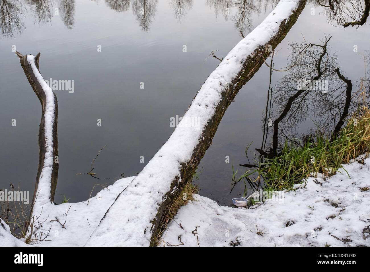 A long tree trunk covered with snow on the water background and its ...