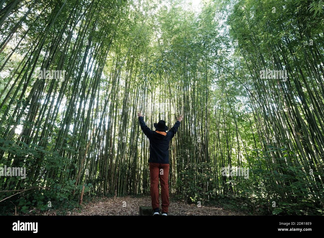 Belle grove hi-res stock photography and images - Alamy