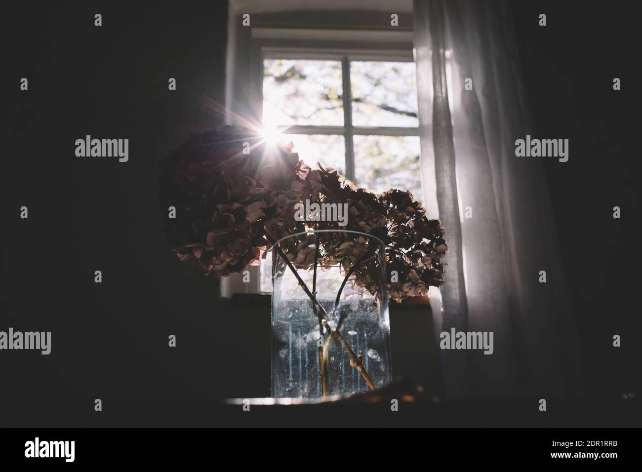 Bright sunlight streaming through window hi-res stock photography and ...