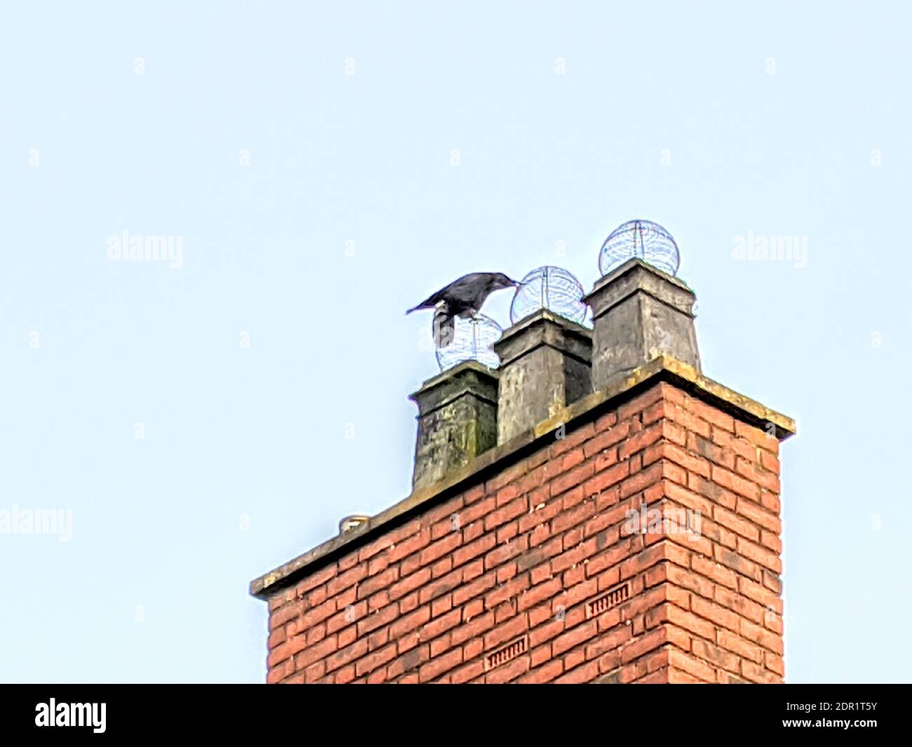 The Raven Crying On Top Of The Chimneys Stock Photo - Alamy