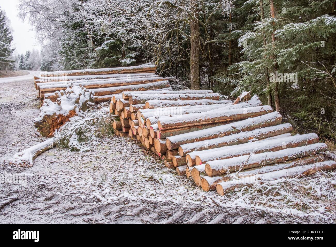 Boreal deforestation hi-res stock photography and images - Alamy
