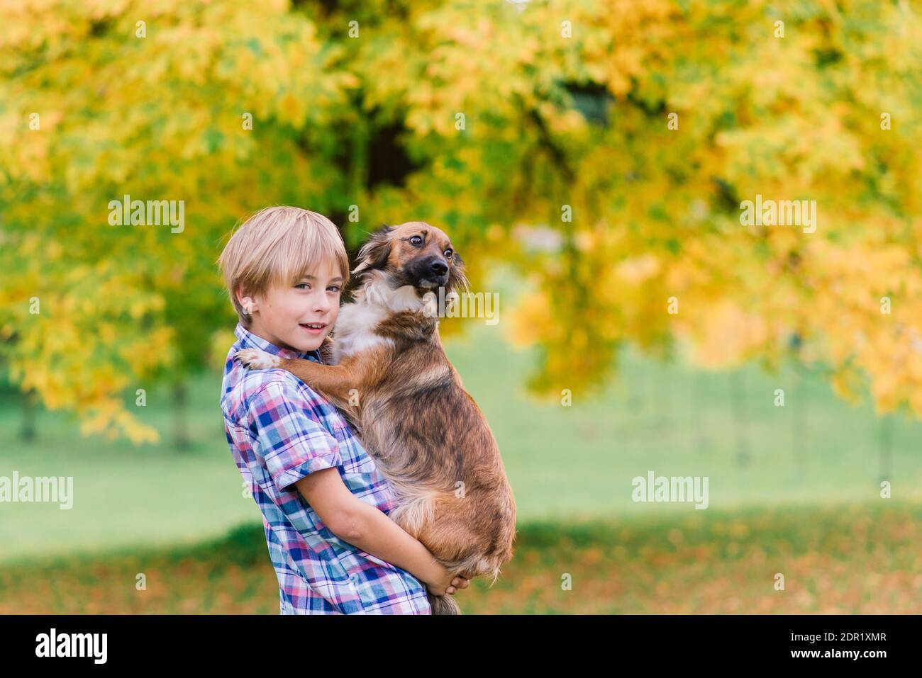 Boy hugging a dog and playing with in the fall, city park Stock Photo ...
