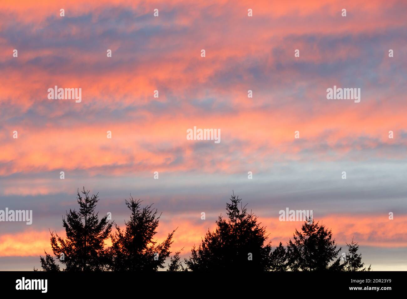 Beautiful pastel sunset sky and clouds Stock Photo - Alamy