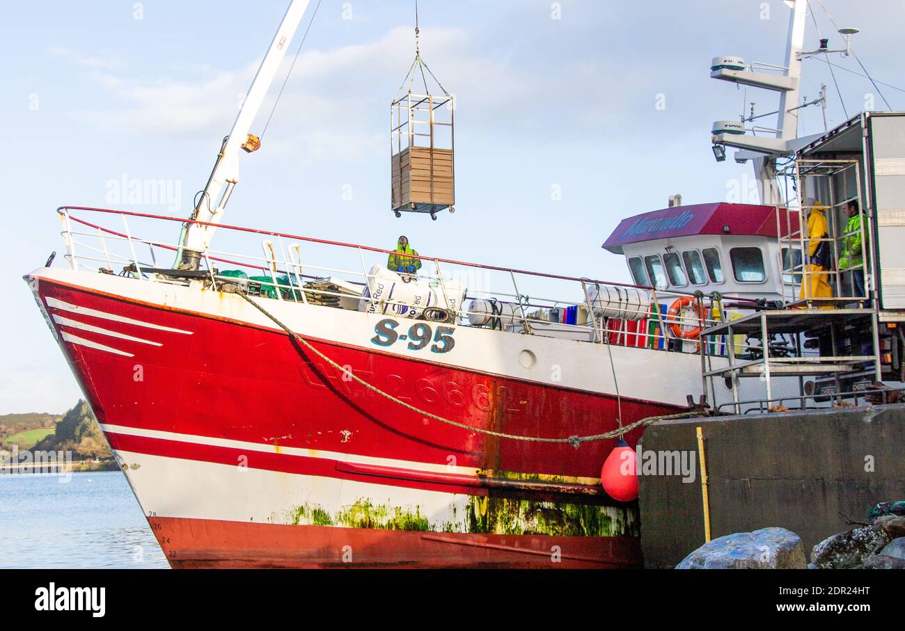 Fishermen unloading fishing trawler catch, Union Hall, West Cork ...