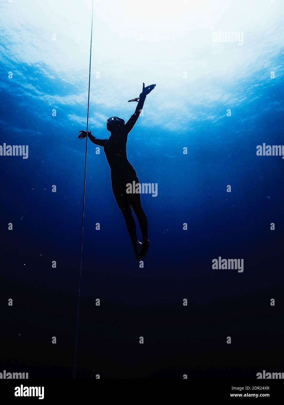 Cnf hi-res stock photography and images - Alamy