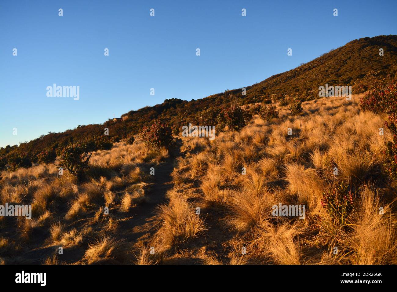 Mount lawu hi-res stock photography and images - Alamy