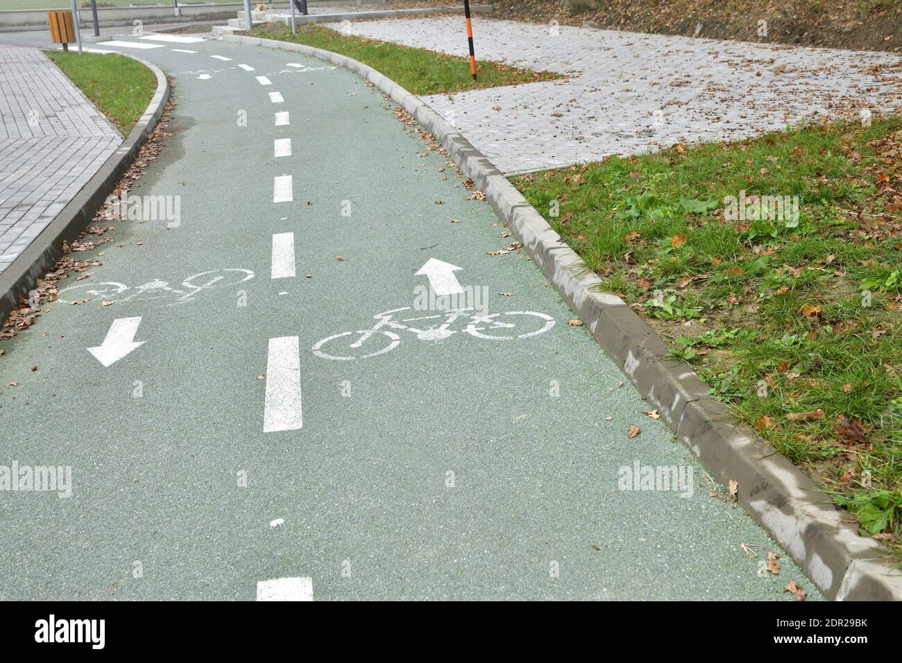 New green asphalt bike path in the city for active movement Stock Photo ...