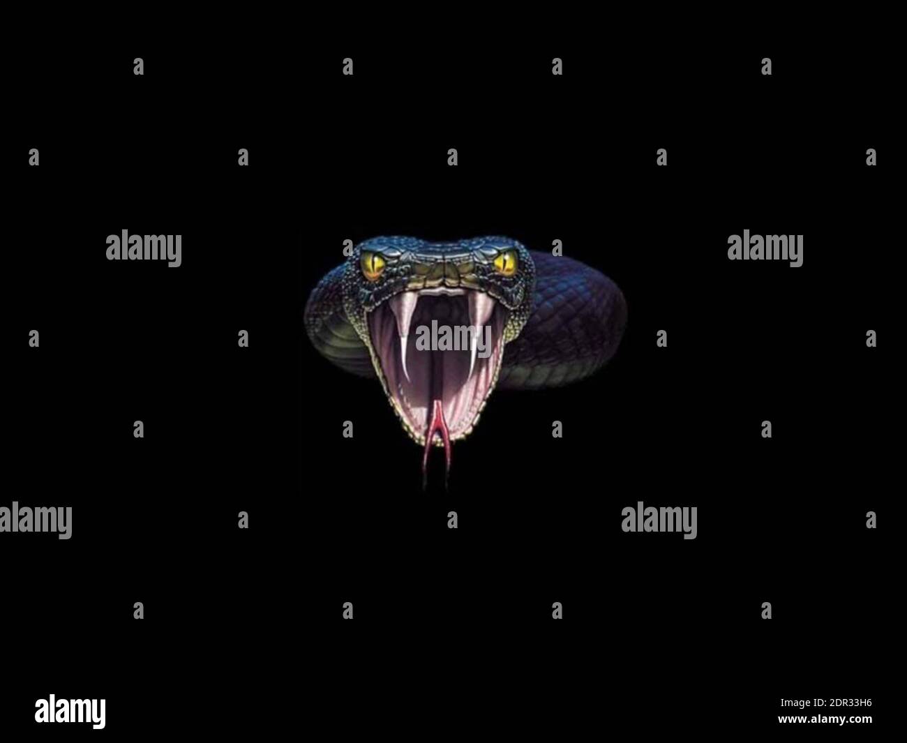 The Snake Is Sitting With Its Mouth Open High Resolution Stock ...