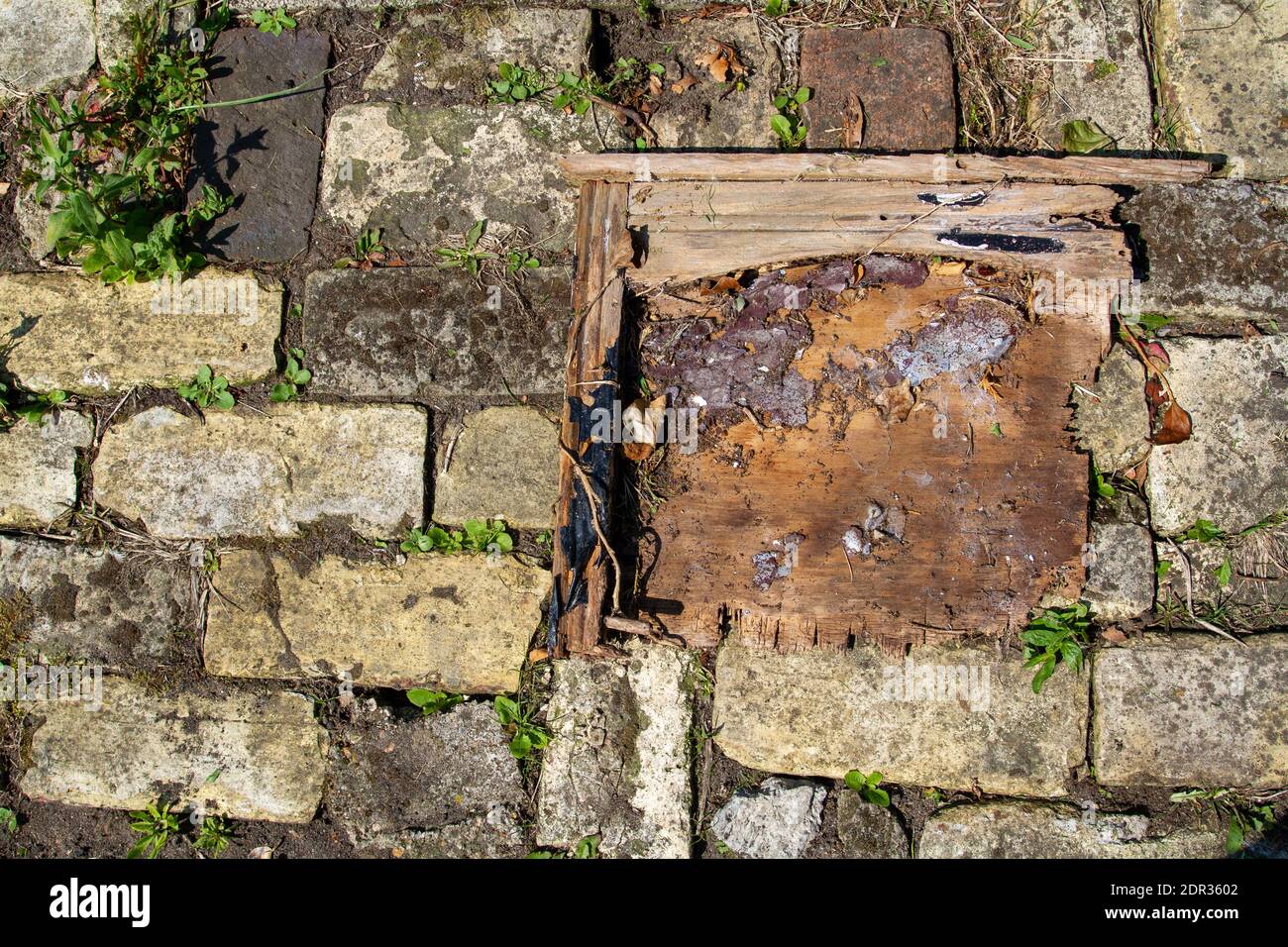 The little that's left of a wooden mirror frame that has just rotted ...