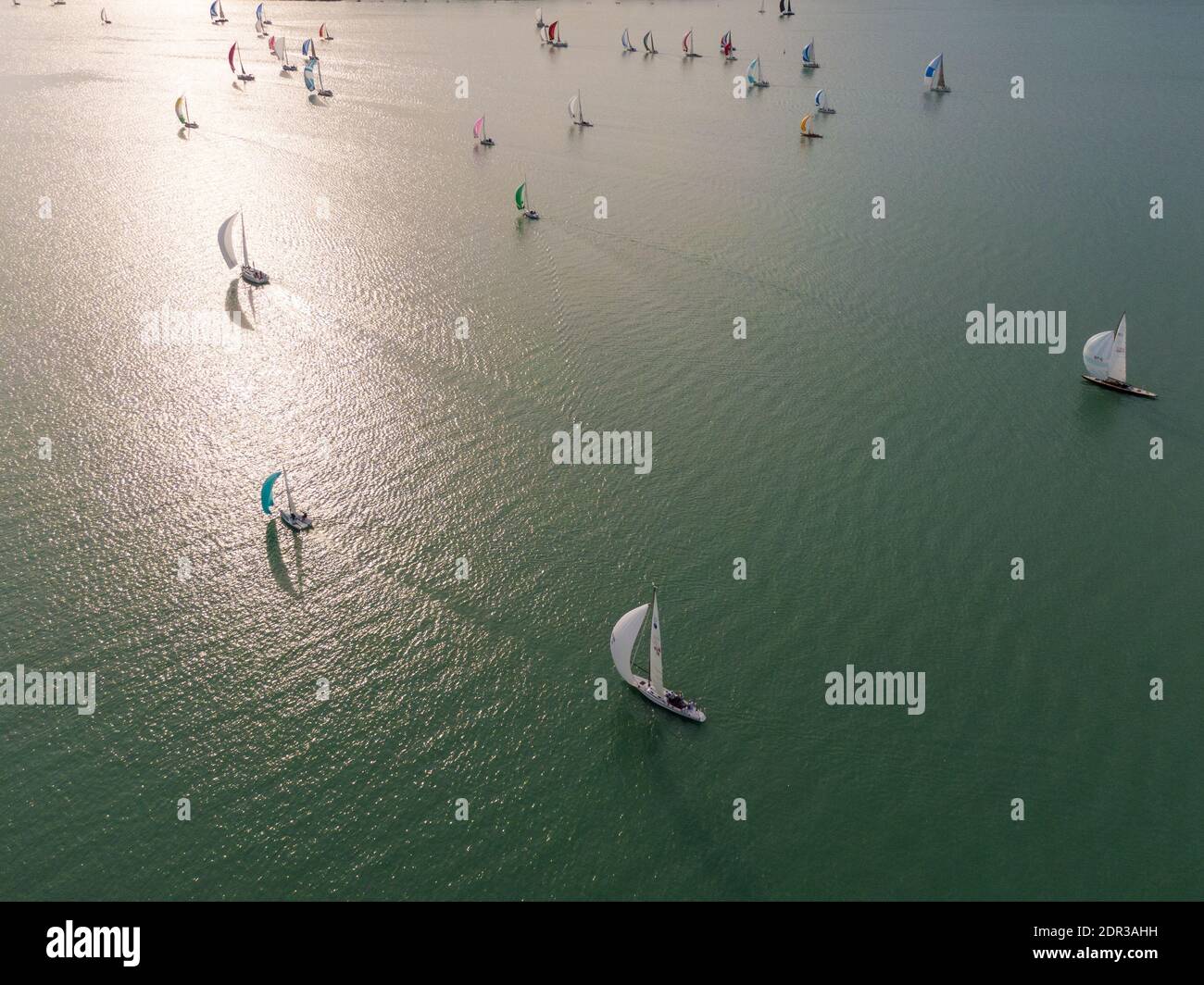 Aerial photo with sailing boats on Lake Balaton Stock Photo - Alamy