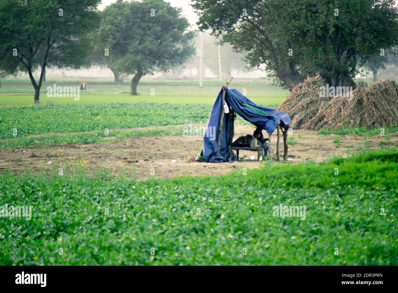 migrant rural village children of landless homeless labourers sitting ...
