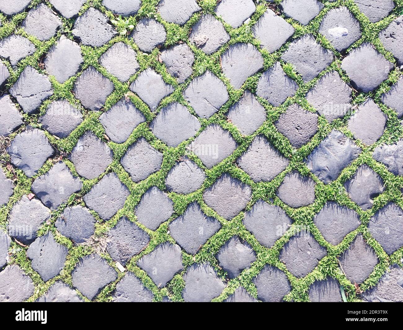 Grass between street and pavement hi-res stock photography and images ...