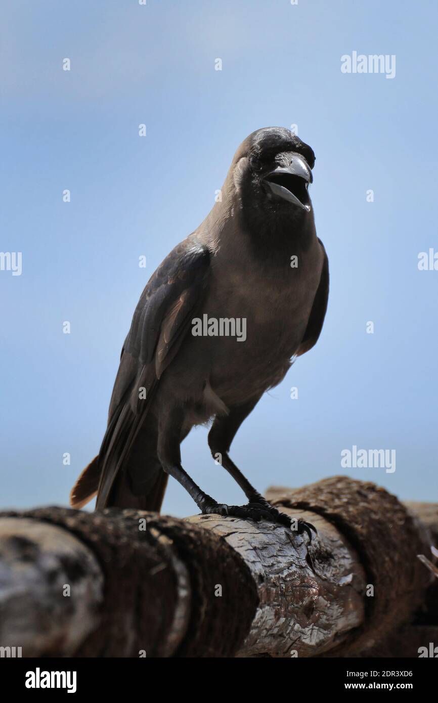 Miday hi-res stock photography and images - Alamy