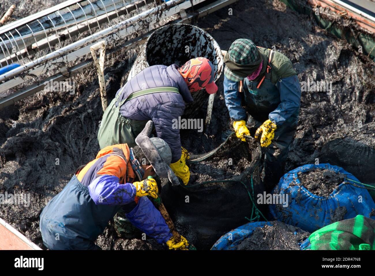 Workers working with cap hi-res stock photography and images - Alamy