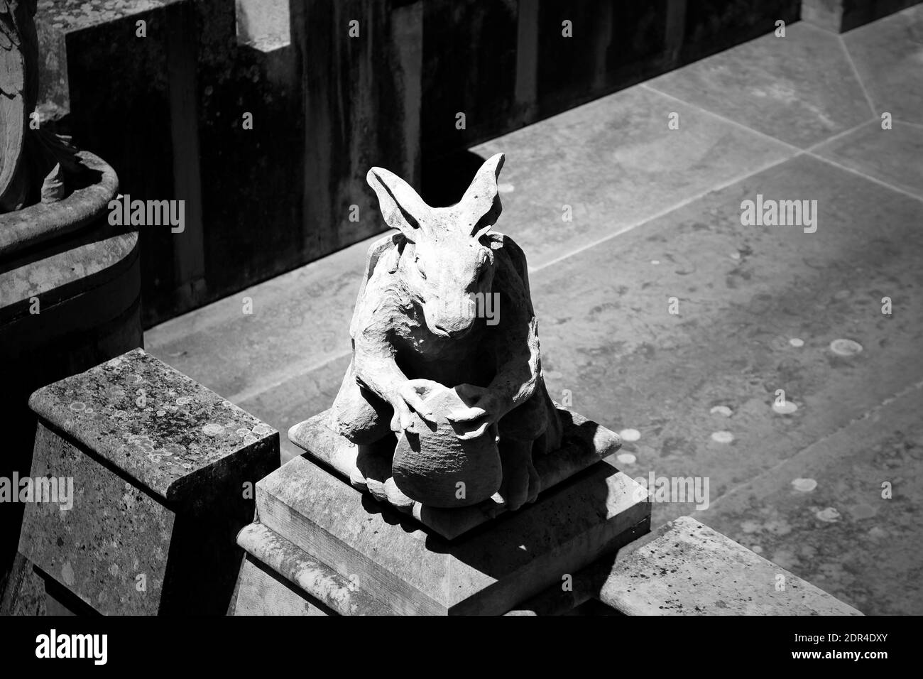 Rabbit detail Black and White Stock Photos & Images - Alamy