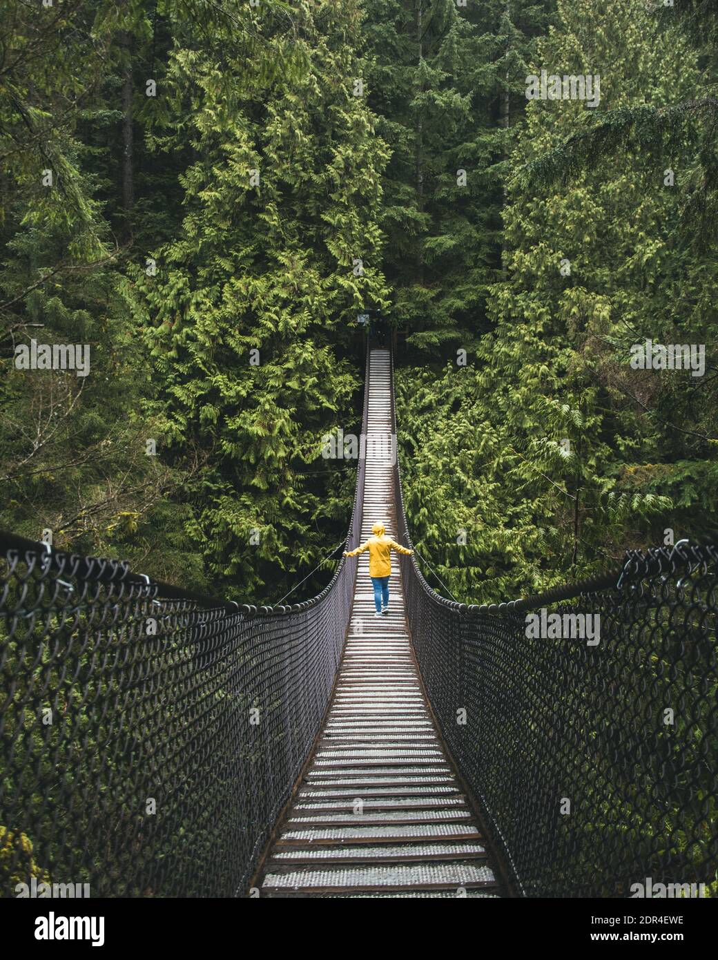 Footbridge and tree canopy and canada hi-res stock photography and ...