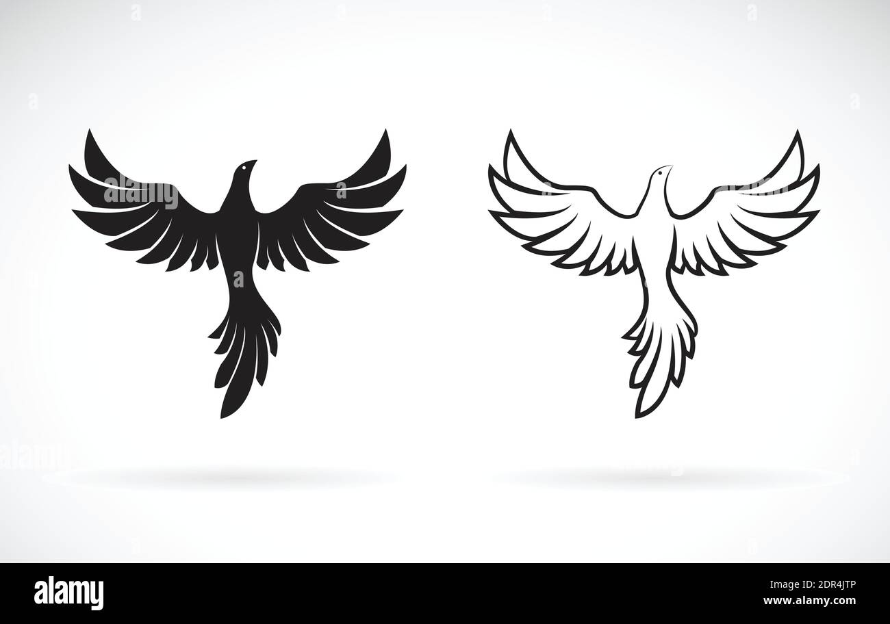 Vector of birds design on a white background,. Wild Animals. Easy ...