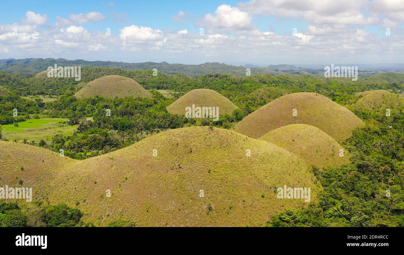 Tropical landscape: Chocolate hills is a famous tourist attraction on ...
