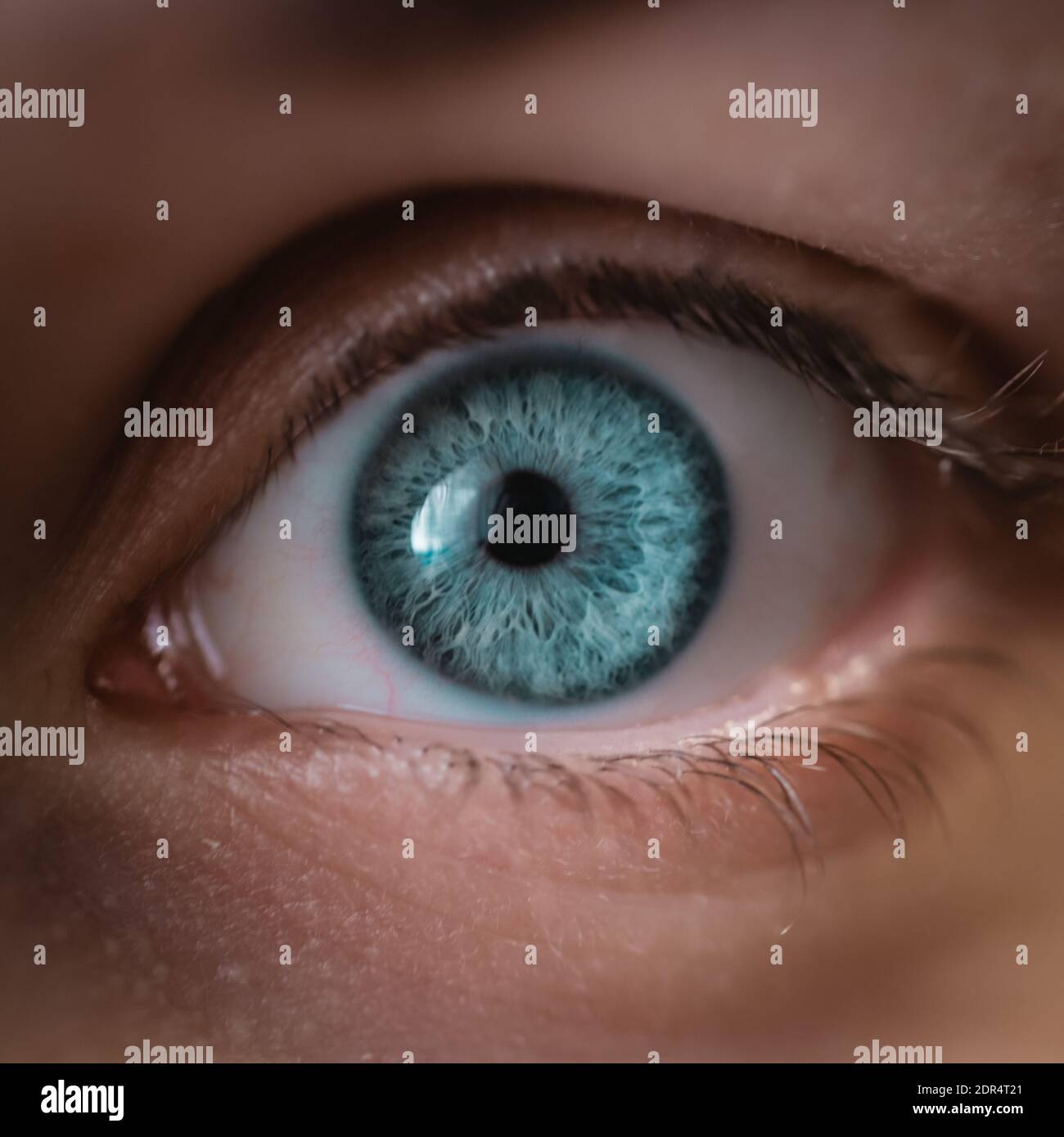 Extreme Close-up Of Human Eye Stock Photo - Alamy
