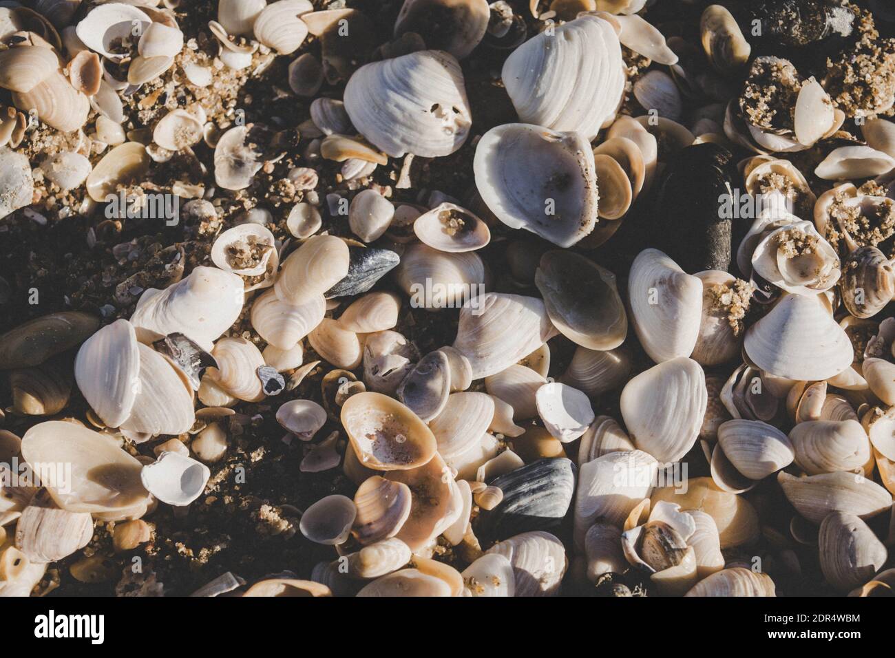 The Color Of Sand Stock Photo - Alamy