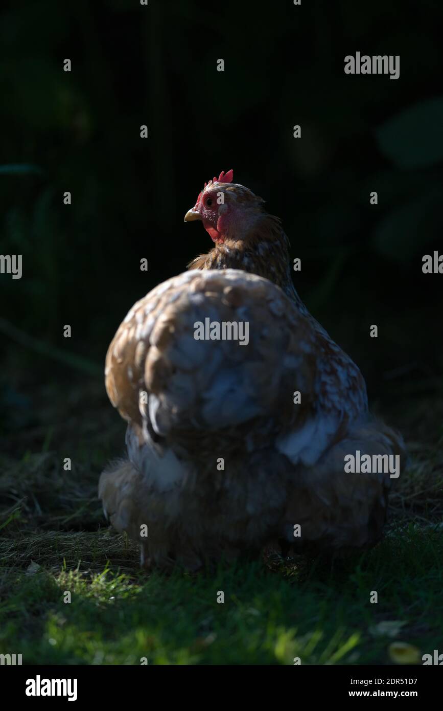 Cinematic Effect High Resolution Stock Photography and Images - Alamy