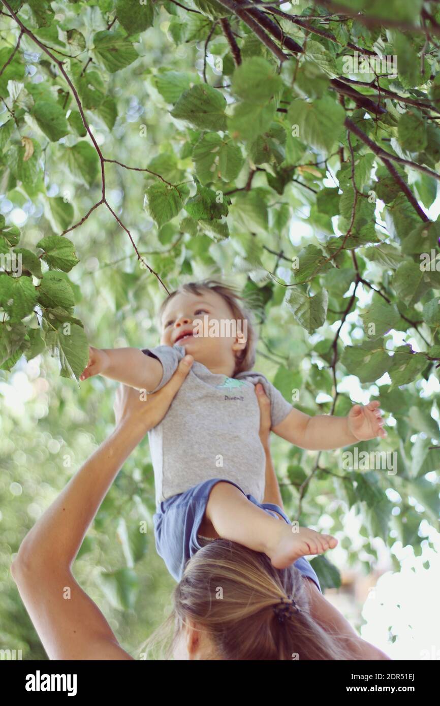 Boy climbing fruit tree hi-res stock photography and images - Alamy