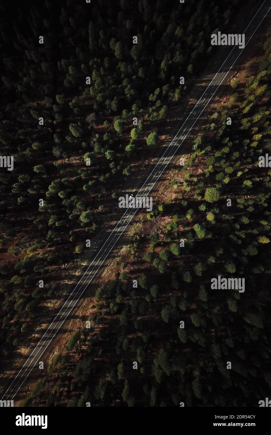 Aerial View Of Road Amidst Trees In Forest Stock Photo - Alamy