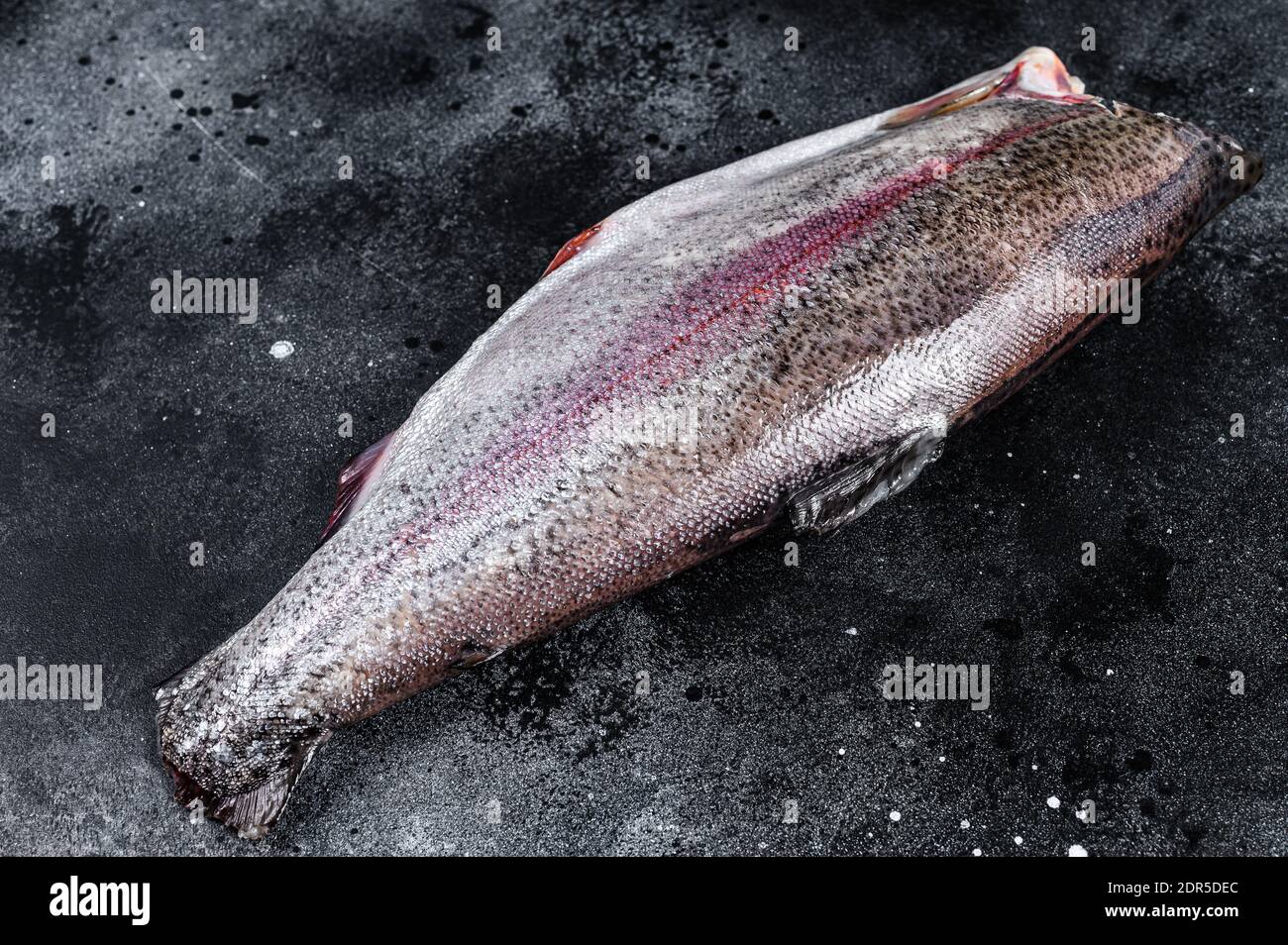 Raw whole trout fish without a head. Black background. Top view Stock ...