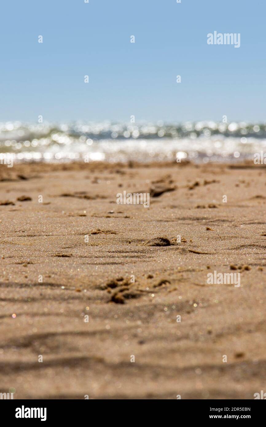Low angle shot of the beach looking towards Frinton with shallow depth ...
