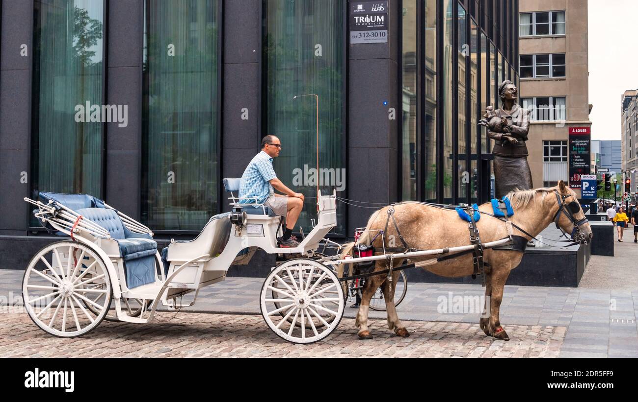 Horse-drawn carriage for city tours in Old Montreal, Canada Stock Photo ...