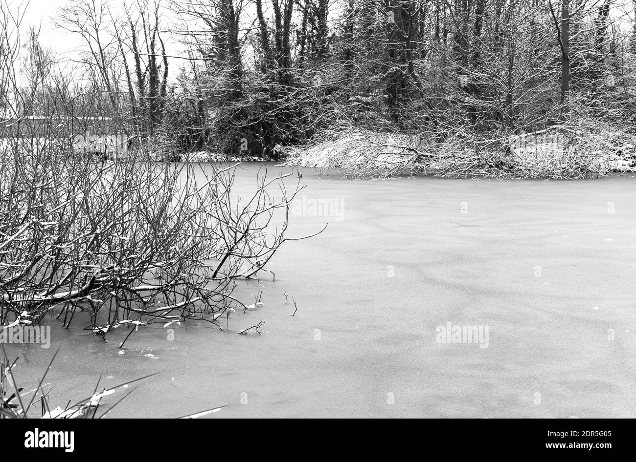 Frozen over lake and trees Stock Photo - Alamy