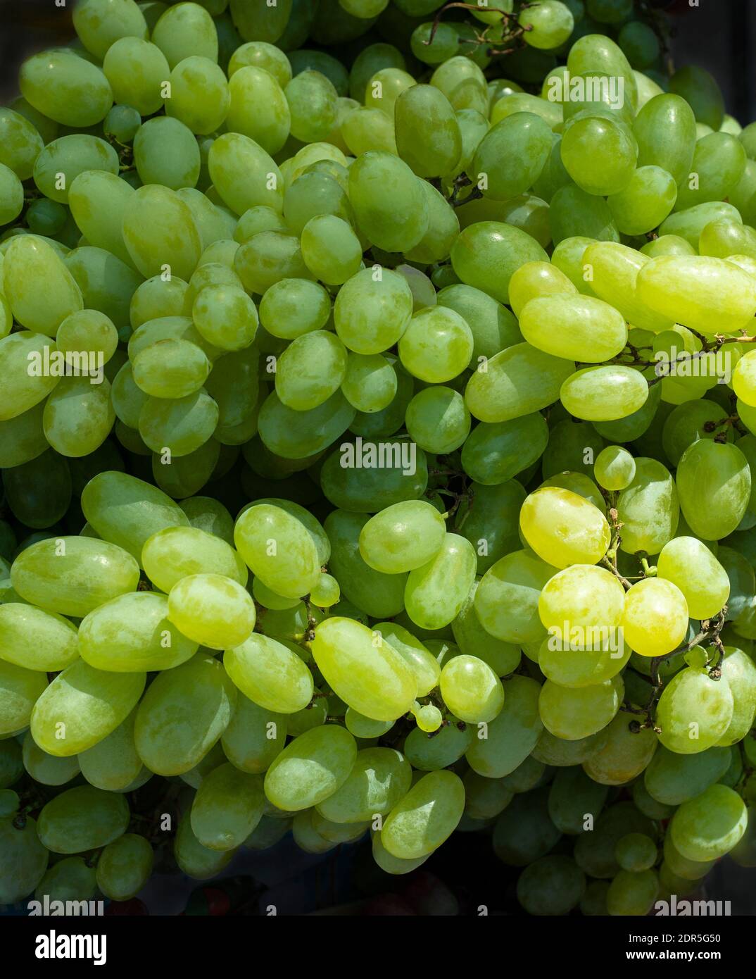 Green ripe grapes. Grape background. Harvest. Sale of fruits Stock ...