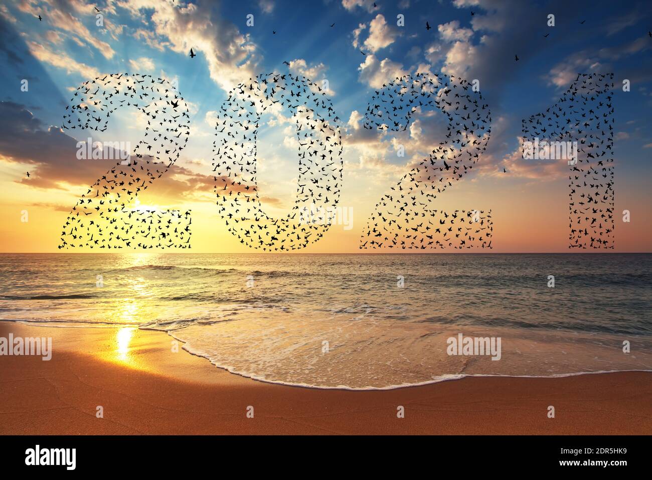 Punta cana birds hi-res stock photography and images - Alamy