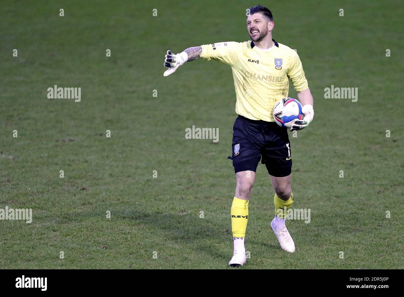 Sheffield Wednesday Goalkeeper Keiren Westwood High Resolution Stock ...