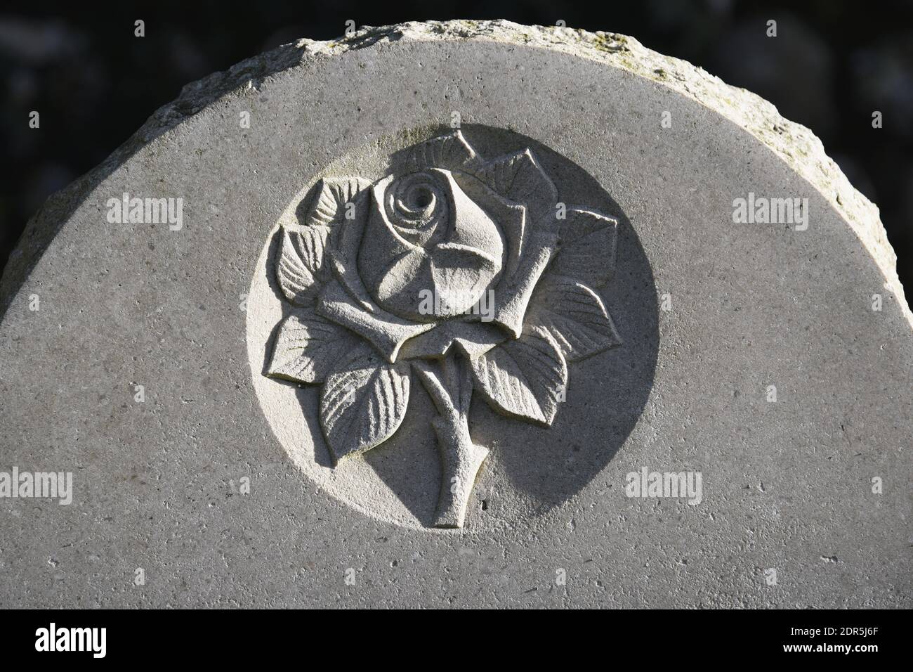 Carving of a rose on gravestone in St Margaret's churchyard ...